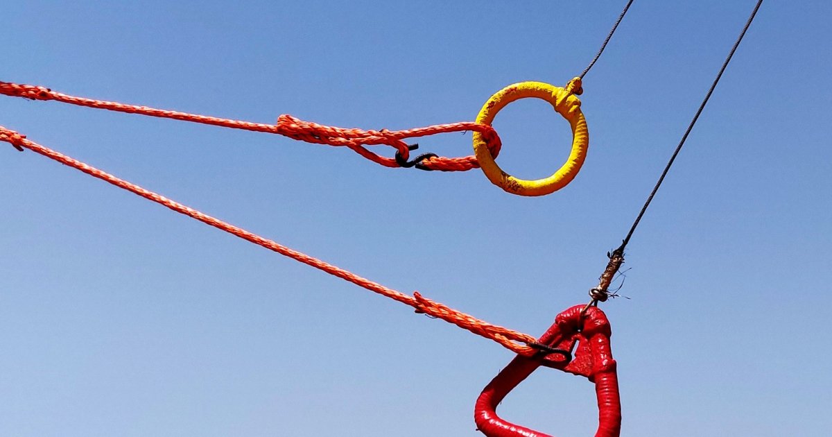 Gémellités disjointes - Ève Lomé